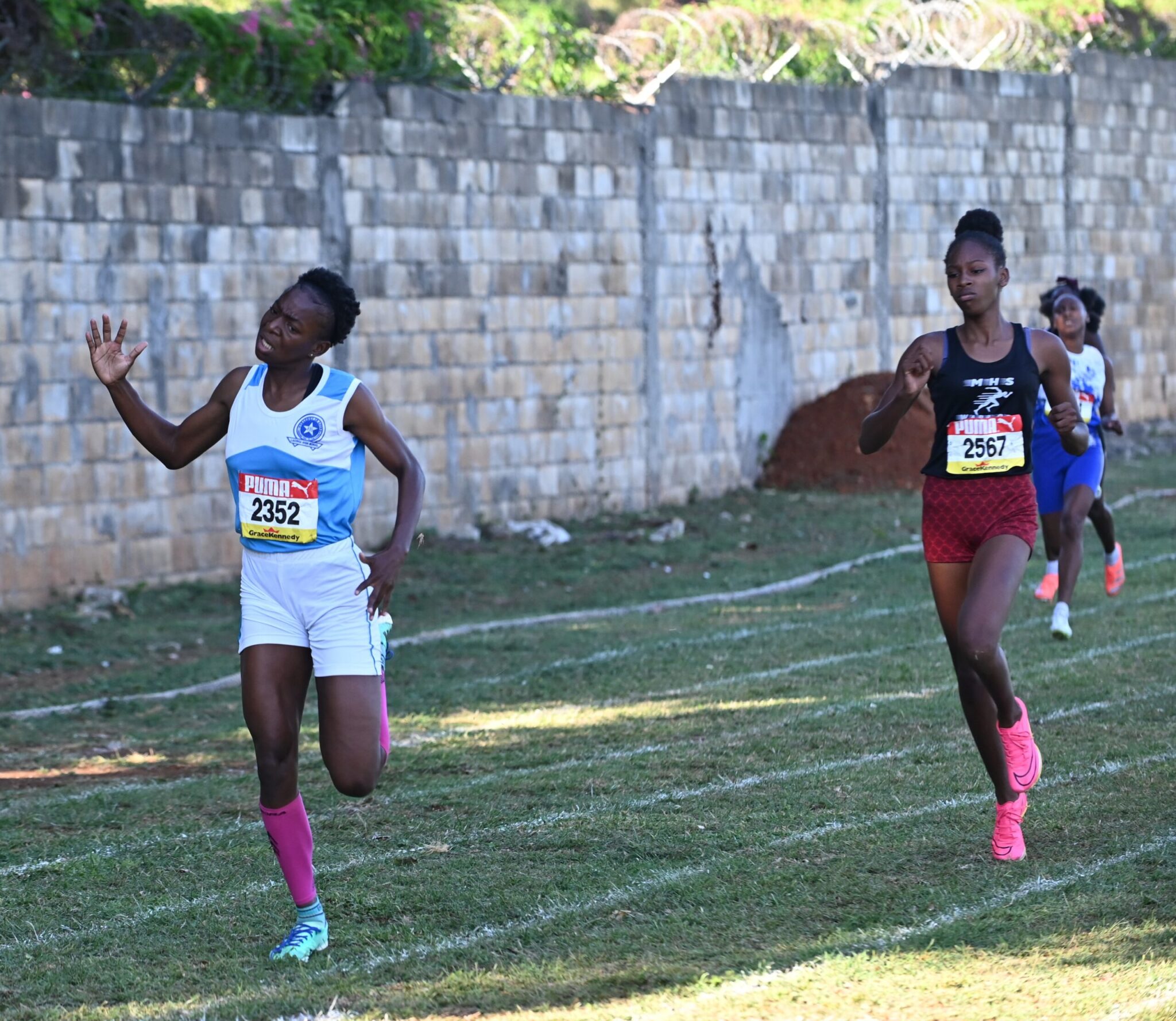 COCAA Western Champs start today - Jamaica Observer