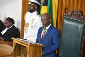 Portmore mayor slams parish decision process as anti-democratic ...