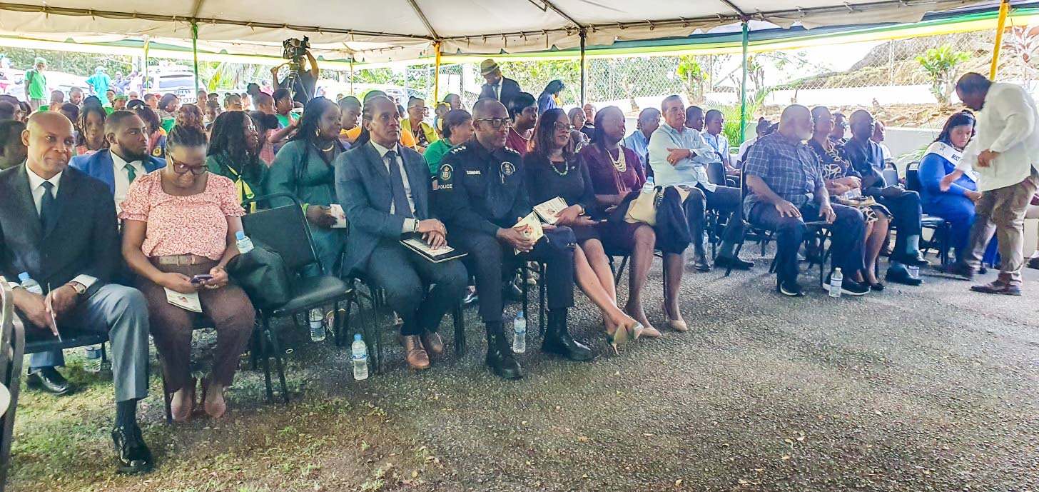 Civic ceremonies should be non-partisan, says BITU rep - Jamaica Observer