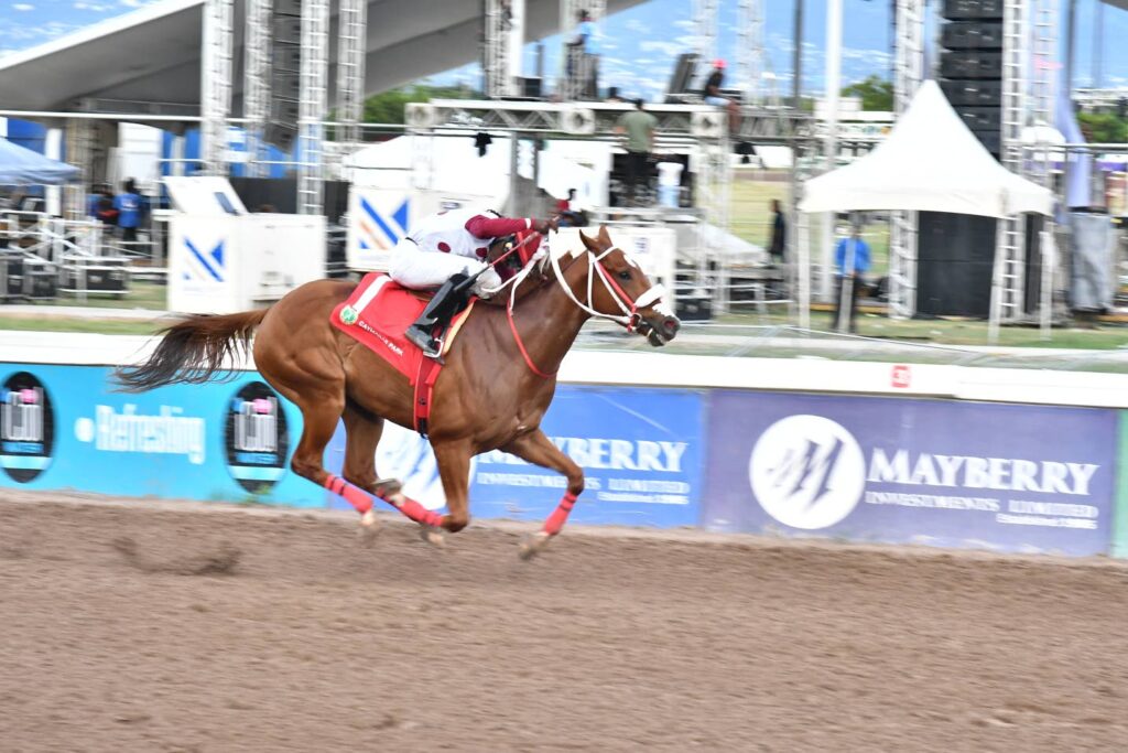 California Crown favoured to repel rivals in ‘Slicer’ Simpson feature ...