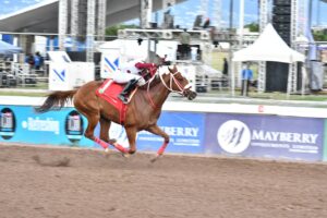 California Crown favoured to repel rivals in ‘Slicer’ Simpson feature ...