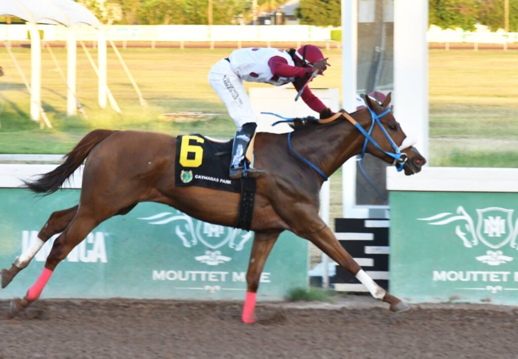 RACE DAY REVIEW FOR SATURDAY, FEBRUARY 8, 2025 - Jamaica Observer