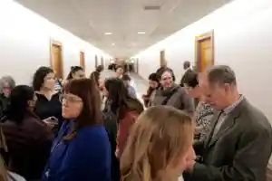 One-third of Musk’s DOGE staff resign in protest - Jamaica Observer