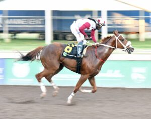 California Crown continues rise to prominence with impressive Trevor ...
