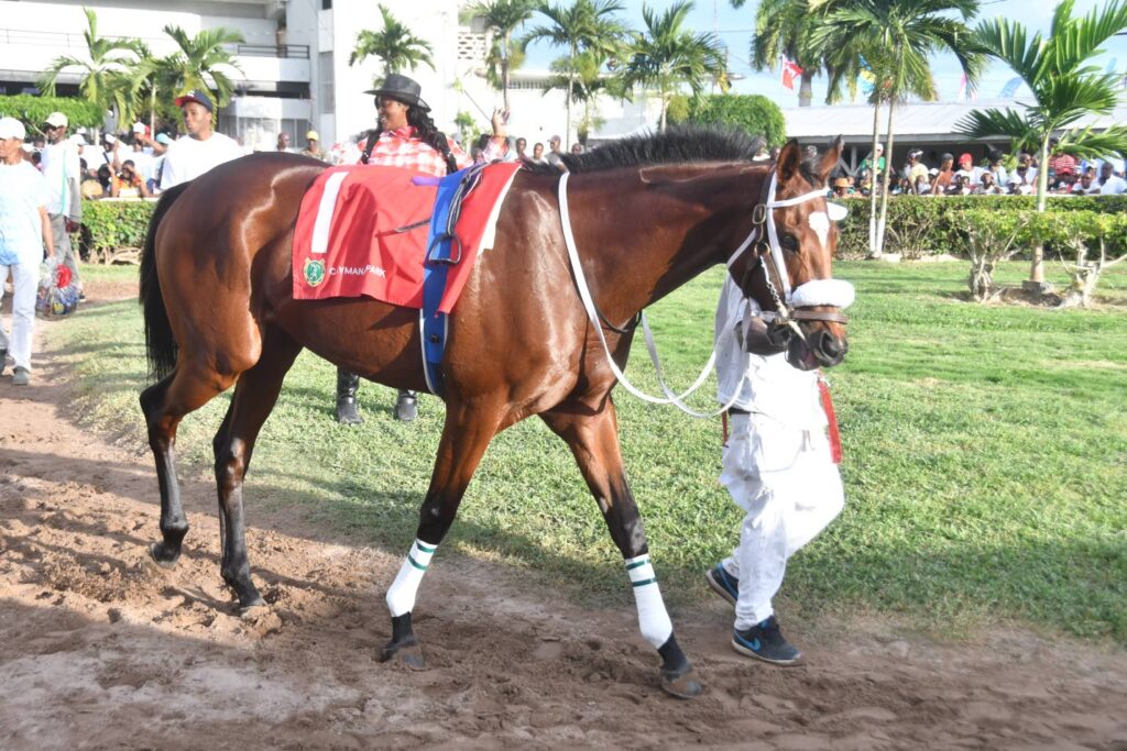 Easy win expected for Tiz Tok in ‘Lindy’ Delapenha Memorial - Jamaica Observer