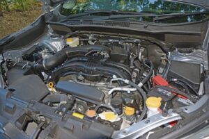 2024 Subaru Forester: Form following function - Jamaica Observer
