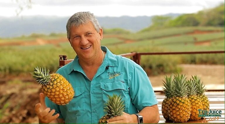 From United Estates to Trade Winds Citrus - Jamaica Observer