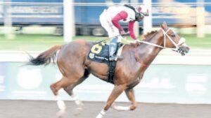 California Crown takes Trevor ‘Slicer’ Simpson Trophy in scintillating ...