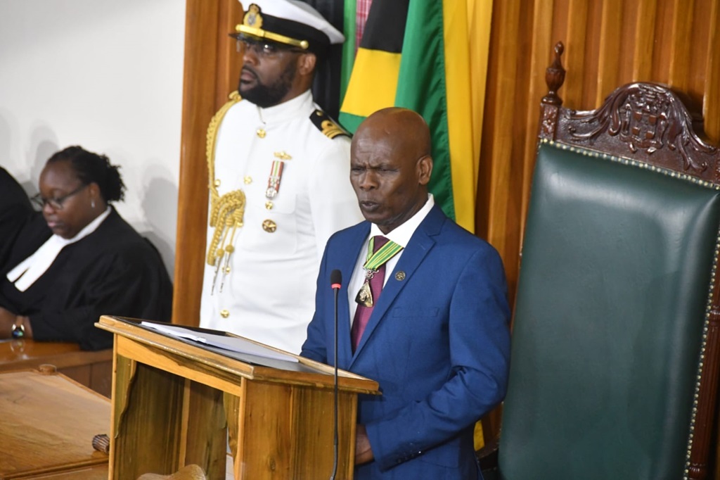 PHOTOS: Ceremonial opening of Parliament - Jamaica Observer