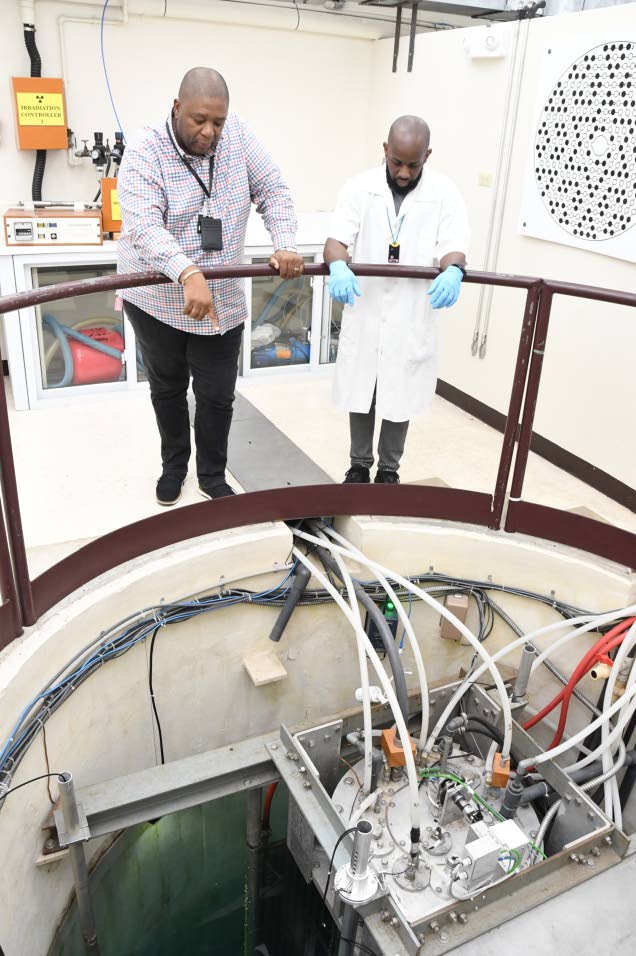 Jamaica’s nuclear gamble - Jamaica Observer