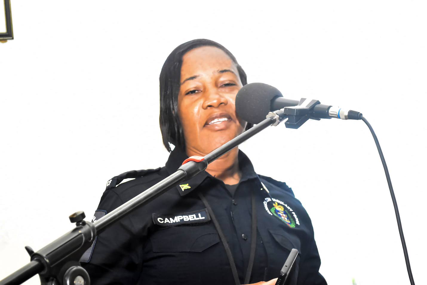 Portland police blame outsiders for murders - Jamaica Observer