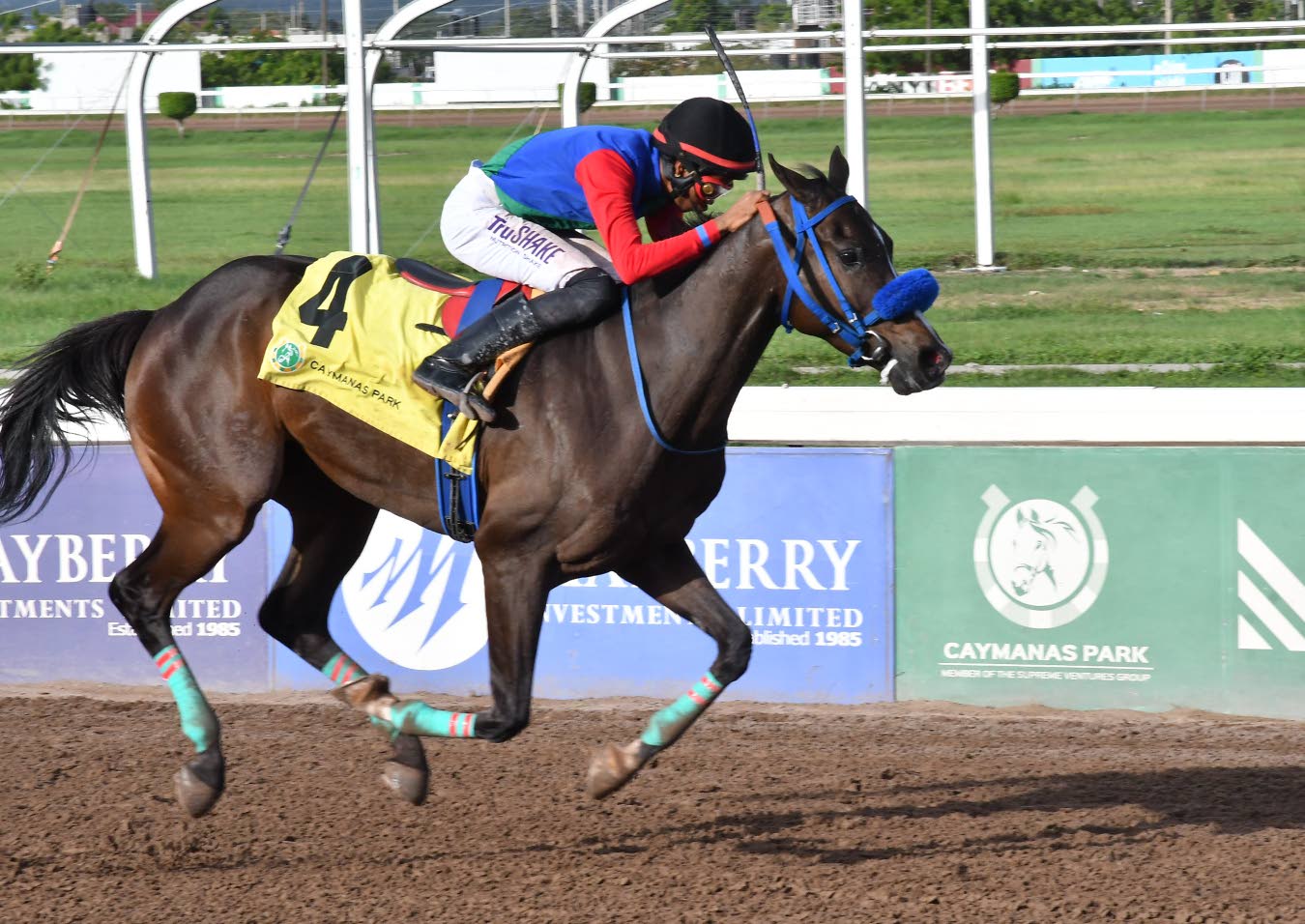 Perfect Brew, Further and Beyond, Neo Star top contenders for ...