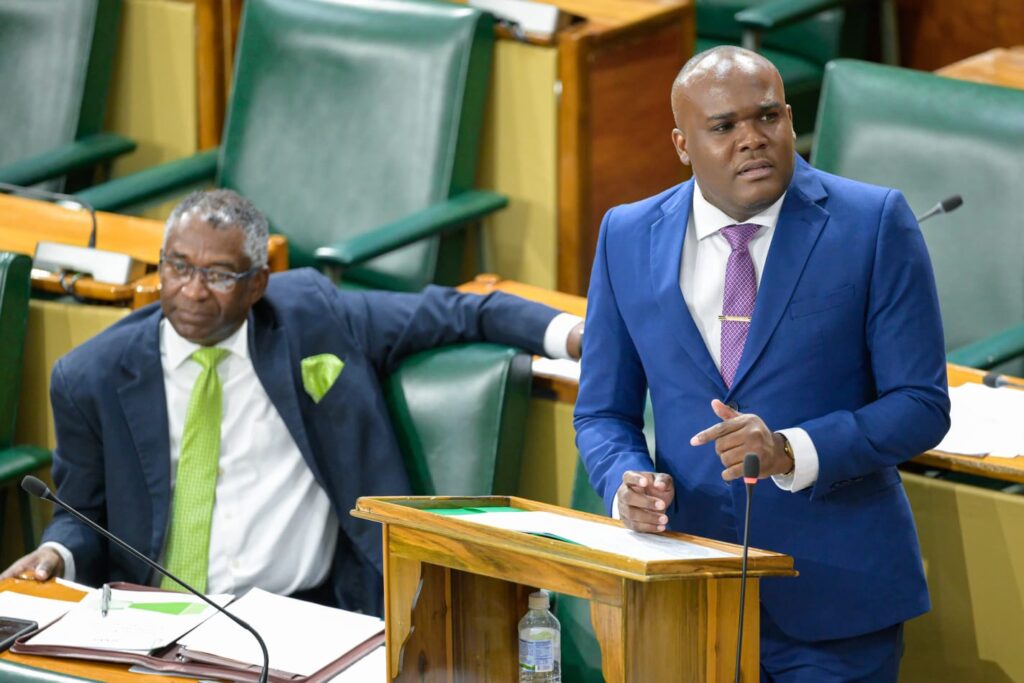 Fitz-Henley calls for probe into KSAMC 2024 Labour Day spending - Jamaica Observer