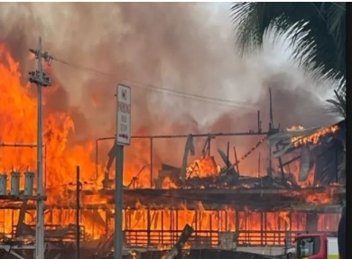 Veteran Jamaican actress Lois Kelly Miller is dead - Jamaica Observer