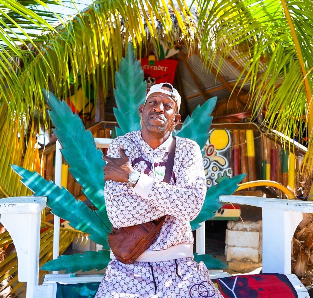 Reggae artiste Visionn banks on 'Save Me' - Jamaica Observer