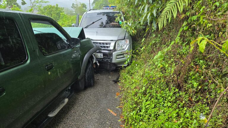 One Order don was key figure in criminal underworld - Jamaica Observer