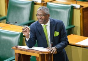 Police arrest schoolboys over 'disturbing' video; Gov't ministers ...