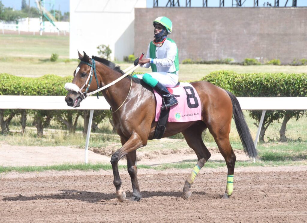 Grierson eager to make Sunshine Girls debut against South Africa ...