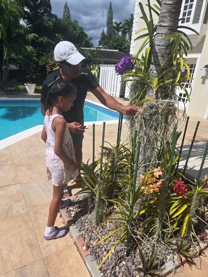 Vlogger Andre Stephens loses defamation suit; will have to pay damages ...