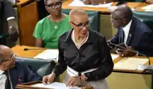 #BudgetDebate2025: Jamaica’s debt to GDP to hit 68.7% March 31 ...