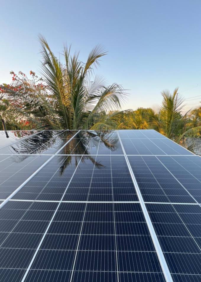 Digicel to power 40 per cent of cell sites with solar - Jamaica Observer