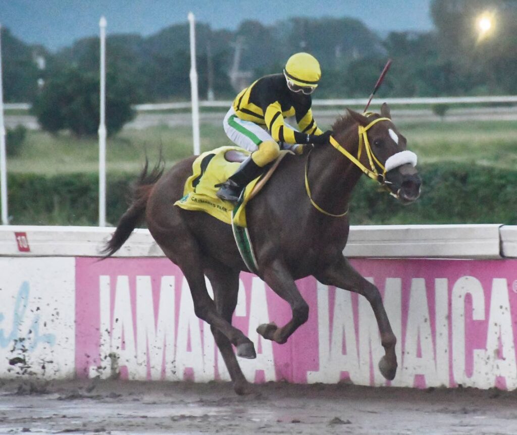 Ian Levy Cup heats up with 15 provisional entries - Jamaica Observer