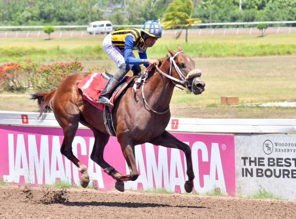 Roman rides to six-winner haul over the weekend, solidifies lead in ...