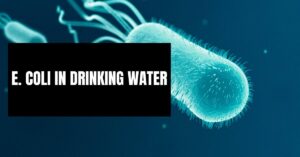 E. coli scare underscores symposium’s role in public health ...