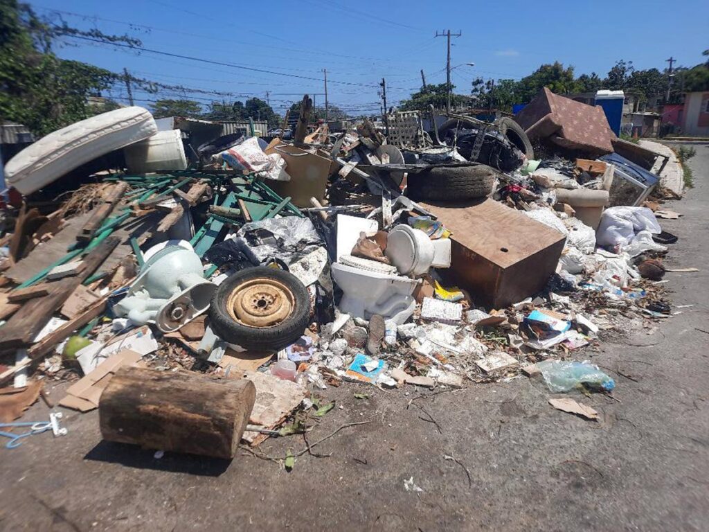 Skips being turned into mini Retirement landfill, says councillor ...
