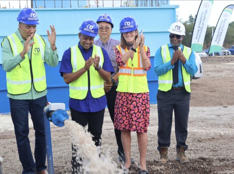 JN Money opens first branch in Orlando, eyes further growth in the USA ...