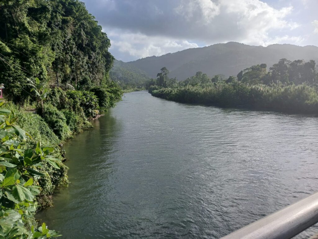 CISOCA list Trelawny man as person of interest - Jamaica Observer