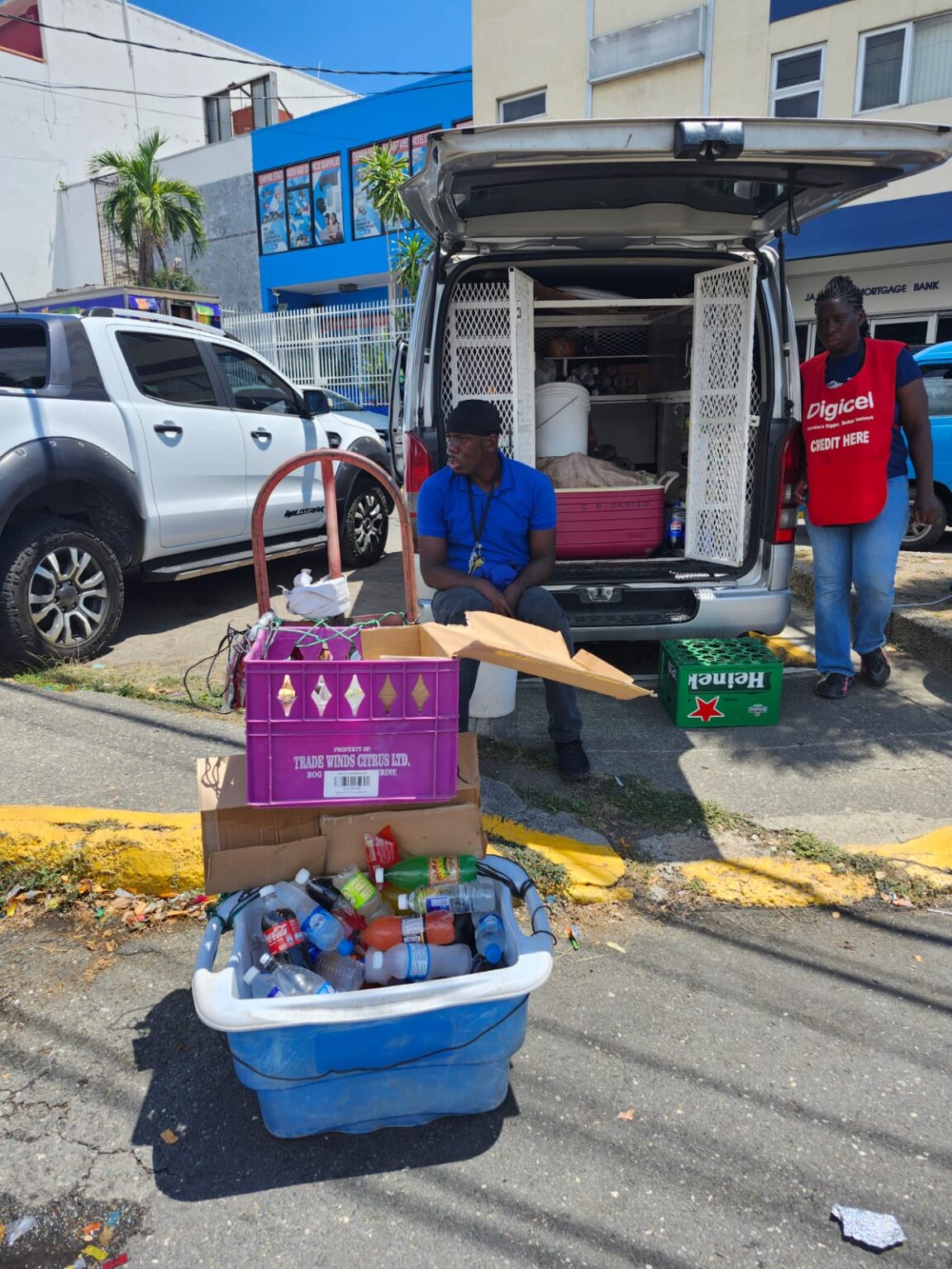 Stakeholders welcome Dana as minister of education - Jamaica Observer