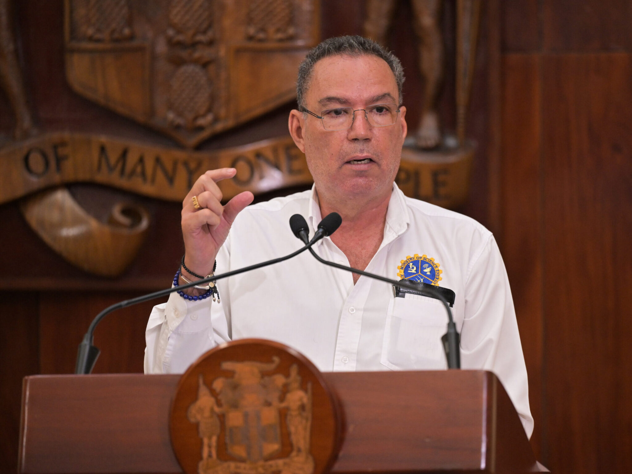 Gov’t to finalise decision on PPV fare increase soon - Jamaica Observer