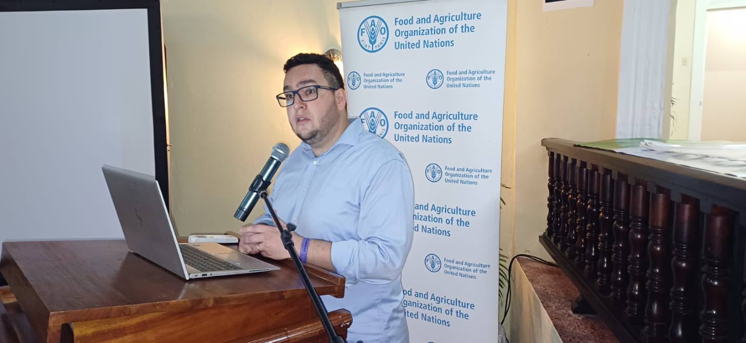 UN programme prepares Caribbean farmers to cope with tariffs, climate ...