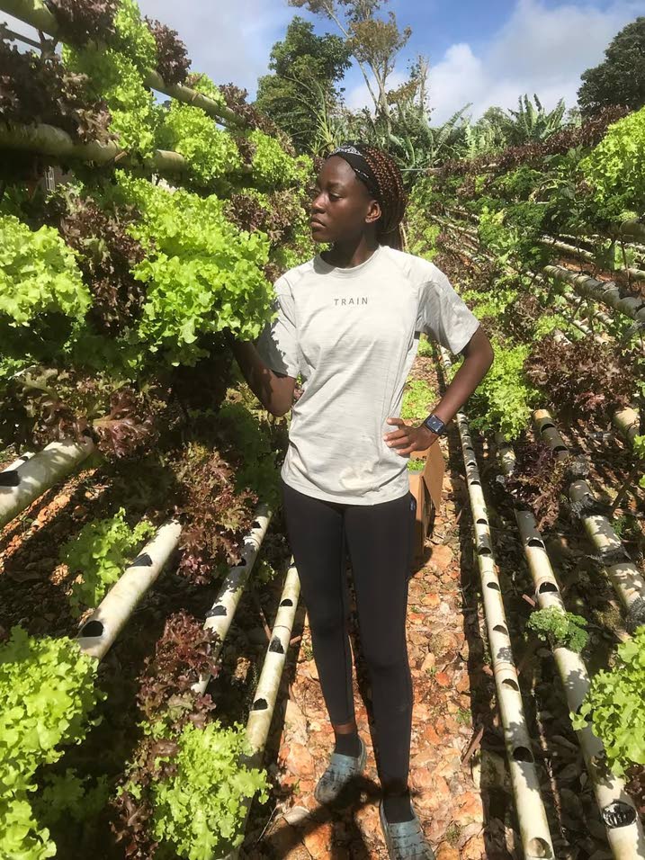 The farmers’ connection - Jamaica Observer