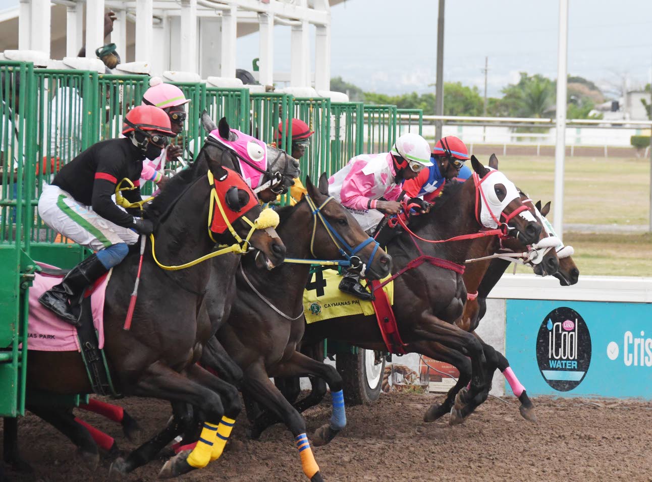 Time for a change: The case for reforming Jamaica’s claiming system ...