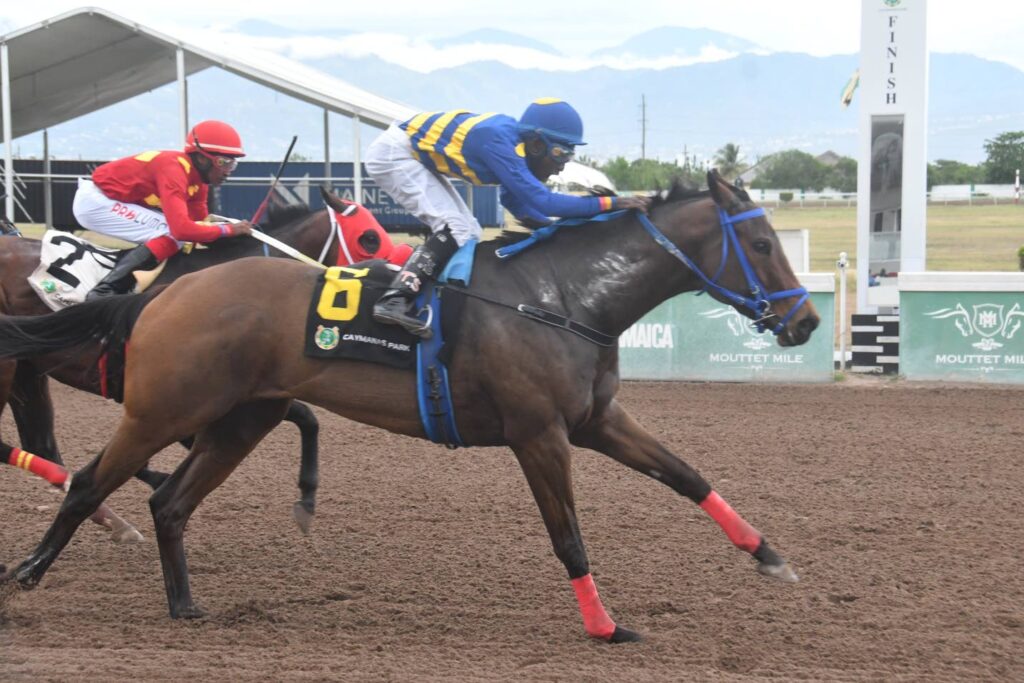 Andrew Swaby is the new Mayor of Kingston - Jamaica Observer