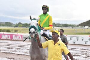 Last Hoorah, Midnight Flight deliver impressive victories for trainer ...