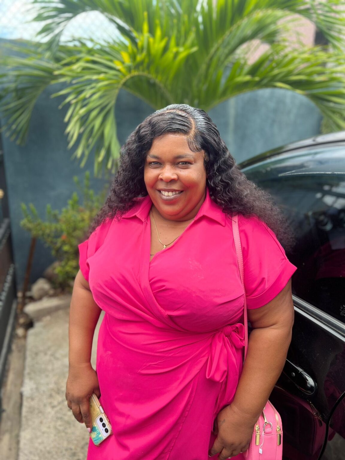 233 firearms intercepted at port of entry — Dr Chang - Jamaica Observer