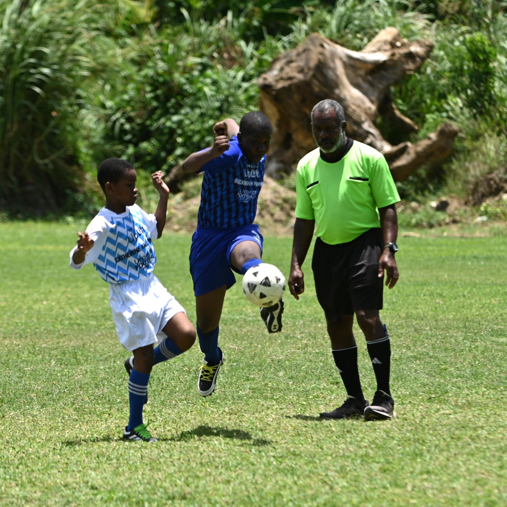 Irwin, Fairfield Academy make strides in U13 - Jamaica Observer