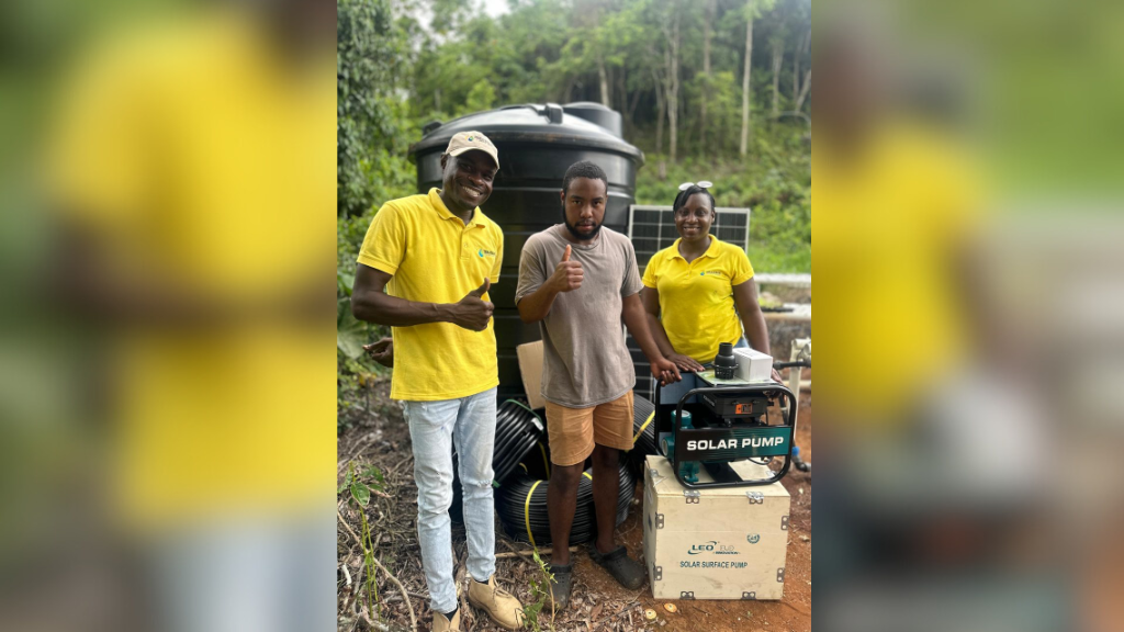St Ann youth farmer wins sustainable farming competition - Jamaica Observer