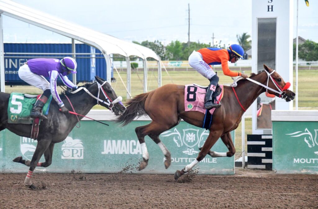 Runaway Star to shine bright in The Kingston - Jamaica Observer