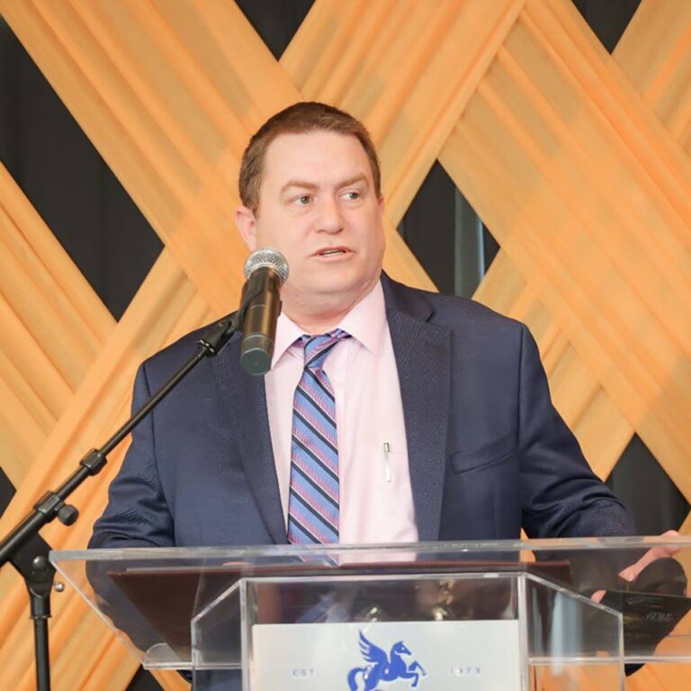 Navigating the public-private divide - Jamaica Observer