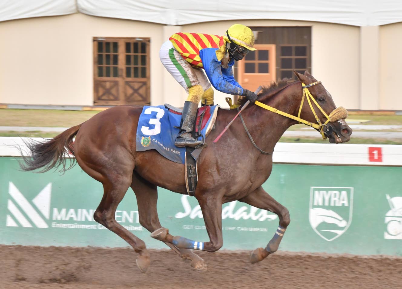 Lui Chie Poo Trophy takes centre stage at Caymanas Park - Jamaica Observer