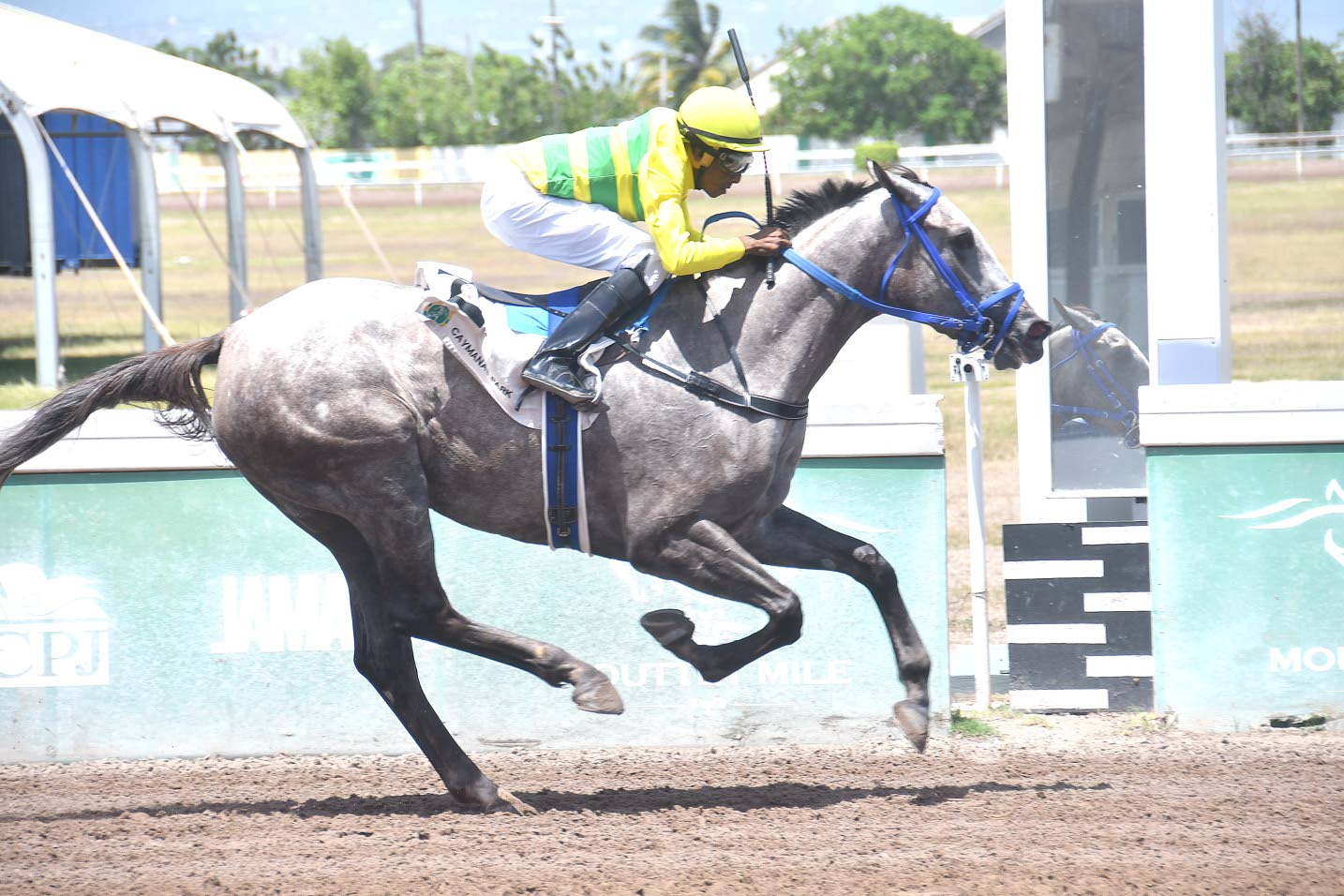 Chung impresses with Sophie Say So performance - Jamaica Observer