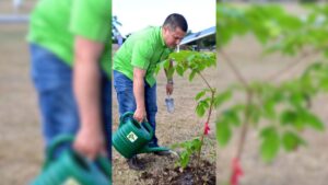 3,000 trees planted along Lady Musgrave and East King’s House roads ...