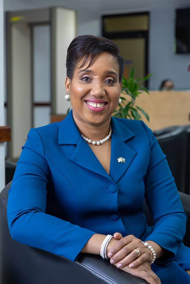 Navigating the public-private divide - Jamaica Observer
