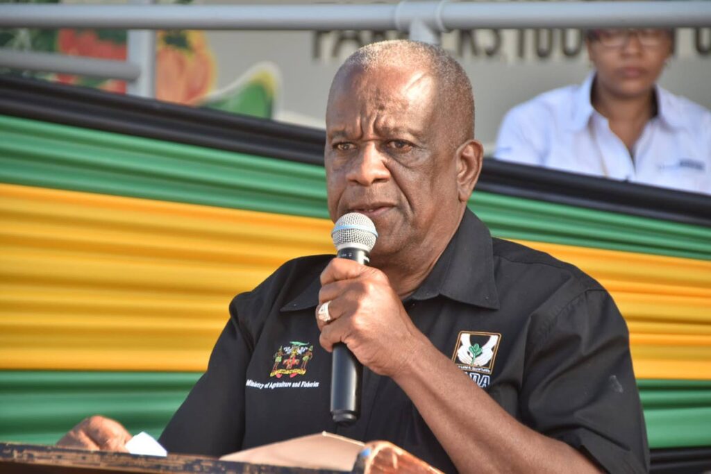 Depending on God and the water tank - Jamaica Observer