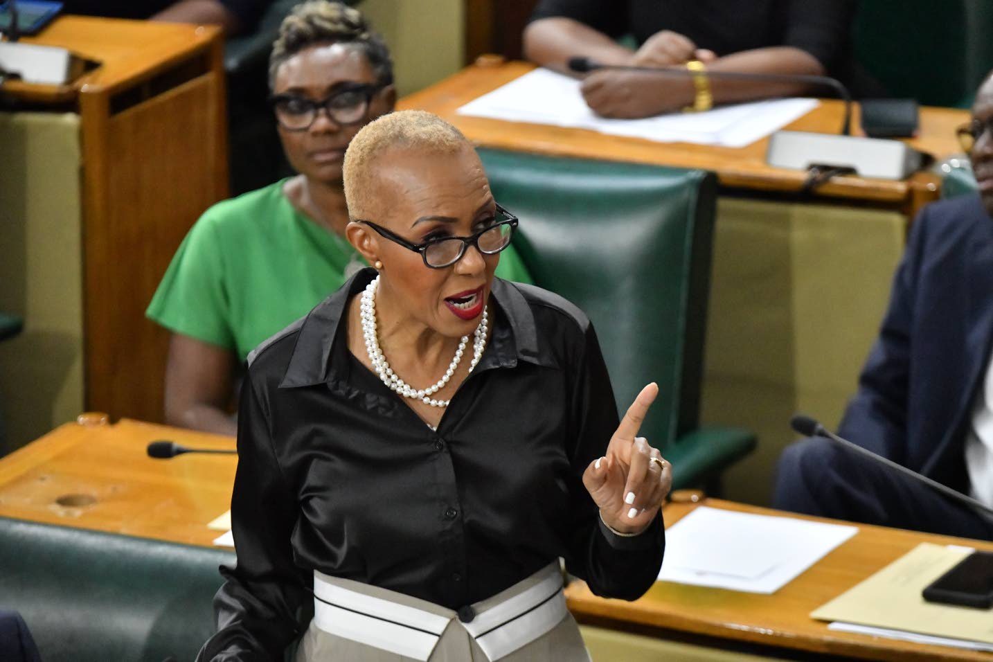 Navigating the public-private divide - Jamaica Observer