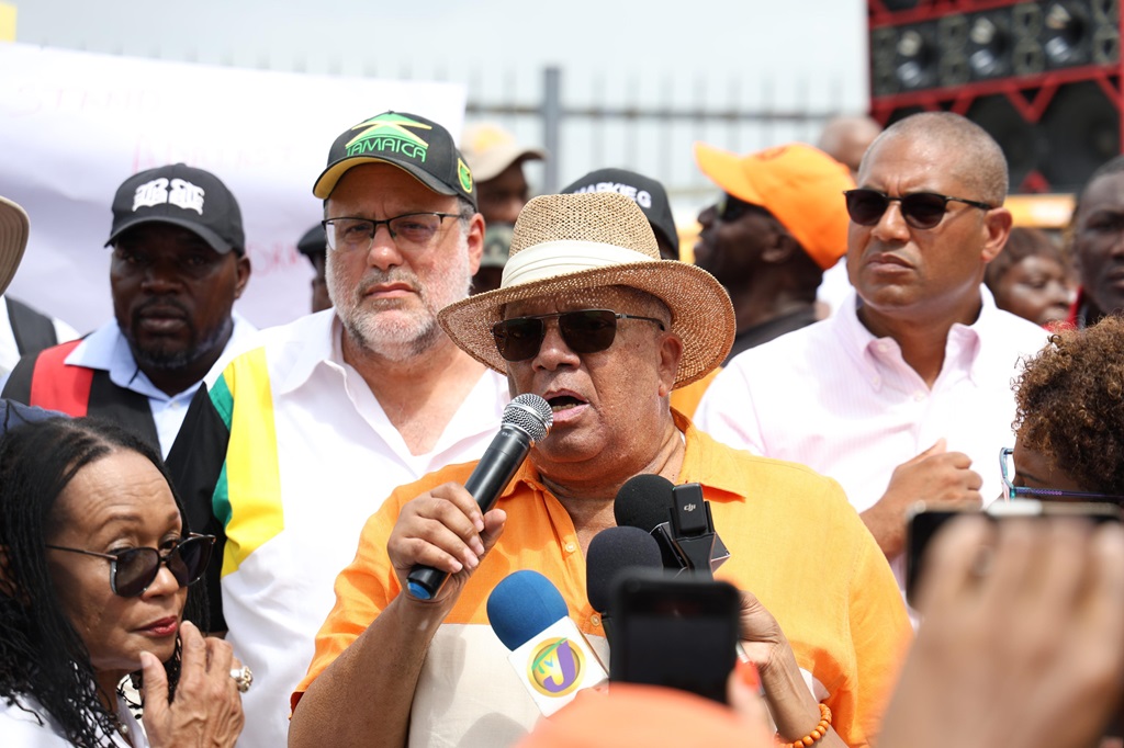 In pictures: PNP protests against Chung's FID appointment, says it ...